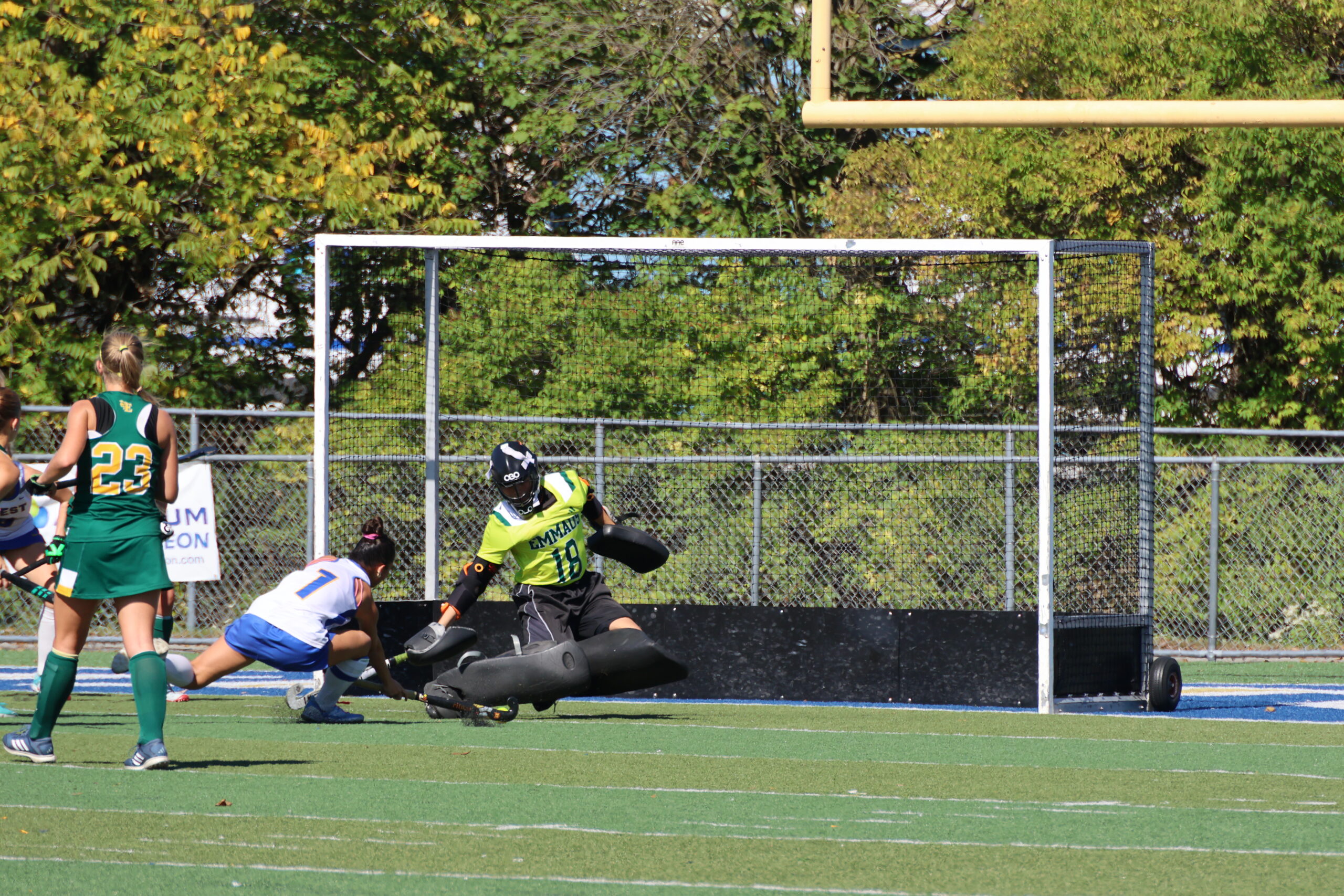 Field Hockey - Horner, Hornets finish yet another regular-season ...