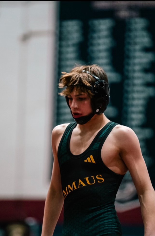 Wrestling - Albanese and Scott amongst a number of Hornets motivated ...