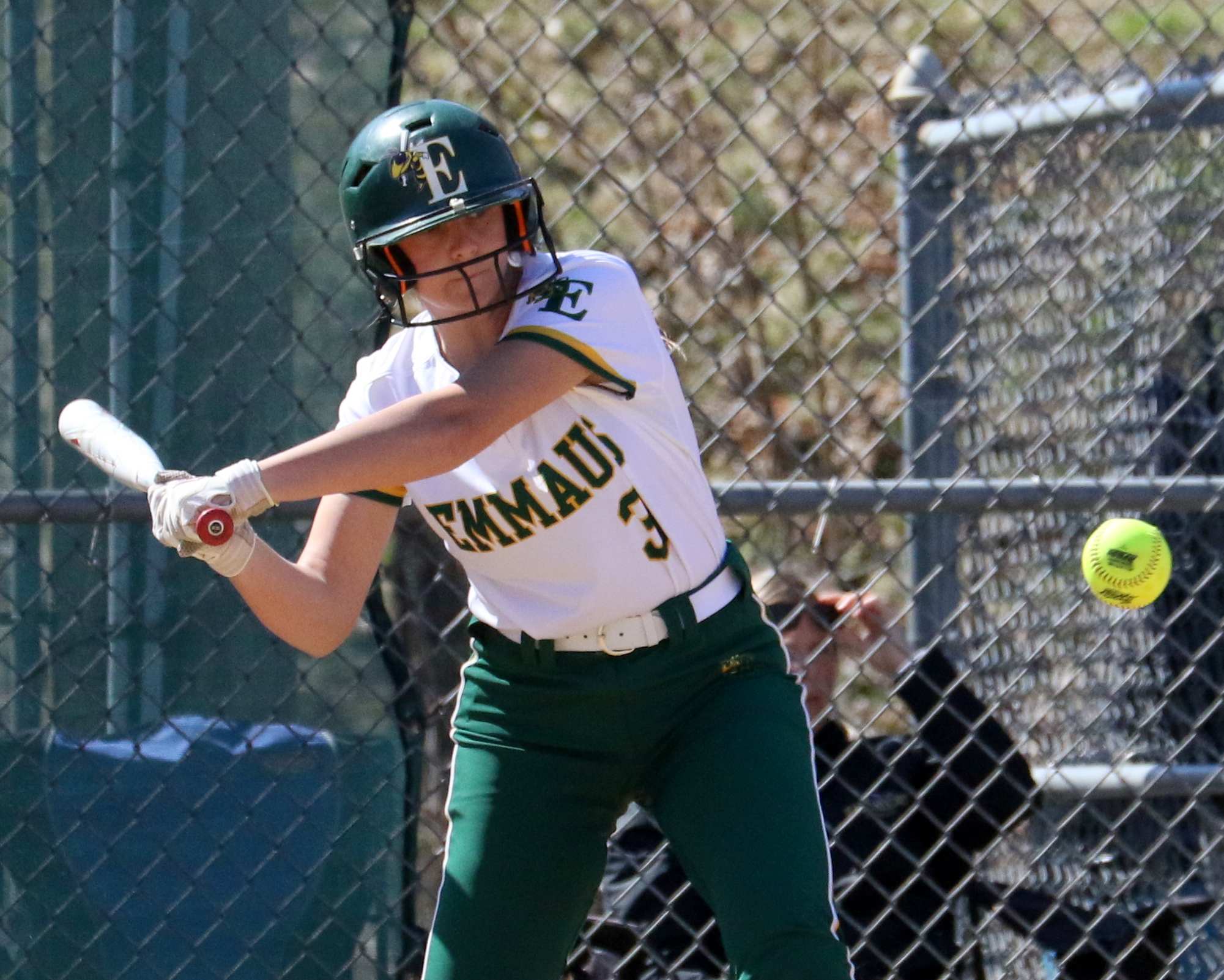 Softball - Despite key losses in lineup, Hornets expect to challenge in ...