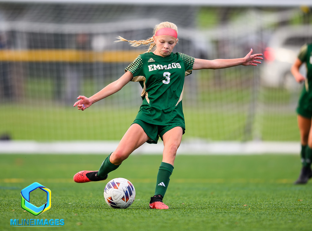 Girls Soccer - Meyer's goal in second overtime lifts Hornets to 10th ...