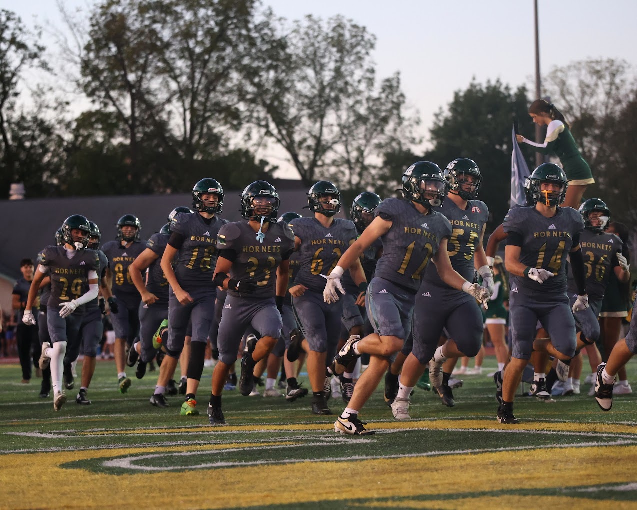 Football - Post-season hopes on the line Friday as the Hornets face ...