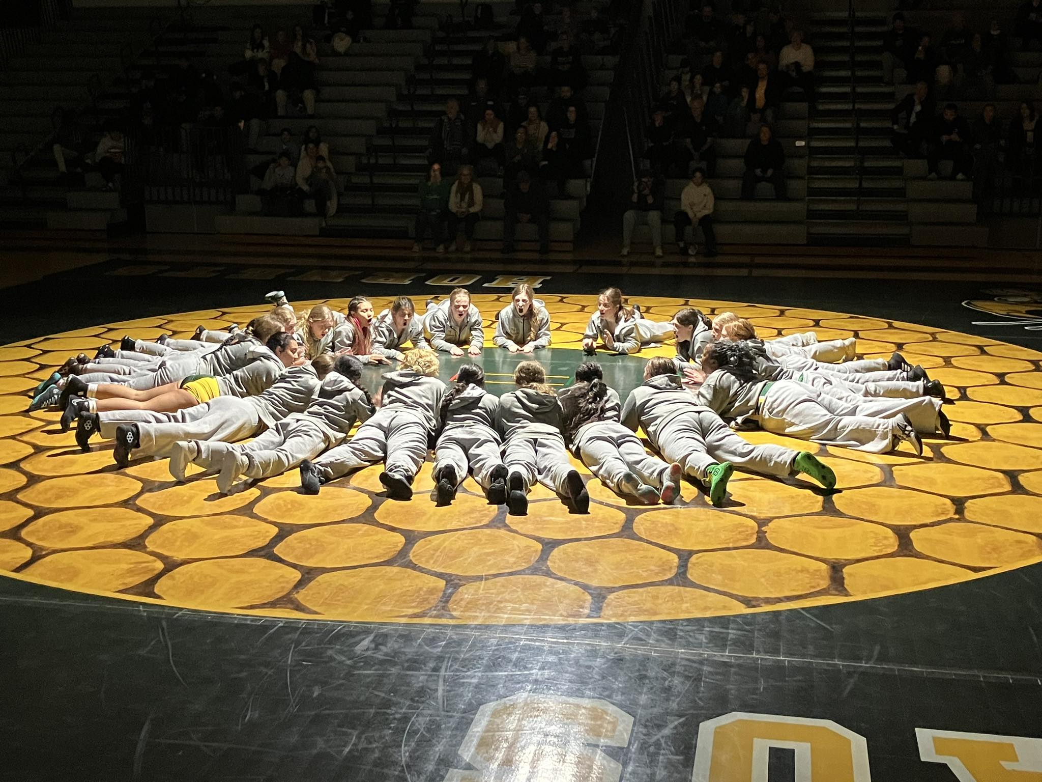 Girls Wrestling - Kroope headlines 12 Hornets competing in this weekend ...